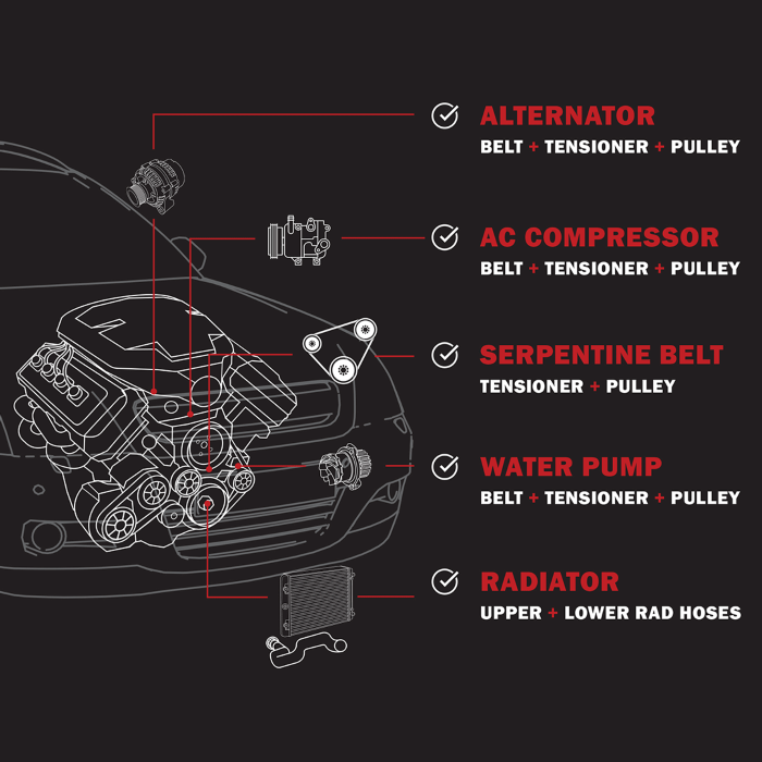 Gates® Australia Launches Protect The Ride Campaign