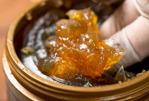 Everything You Never Knew About Grease